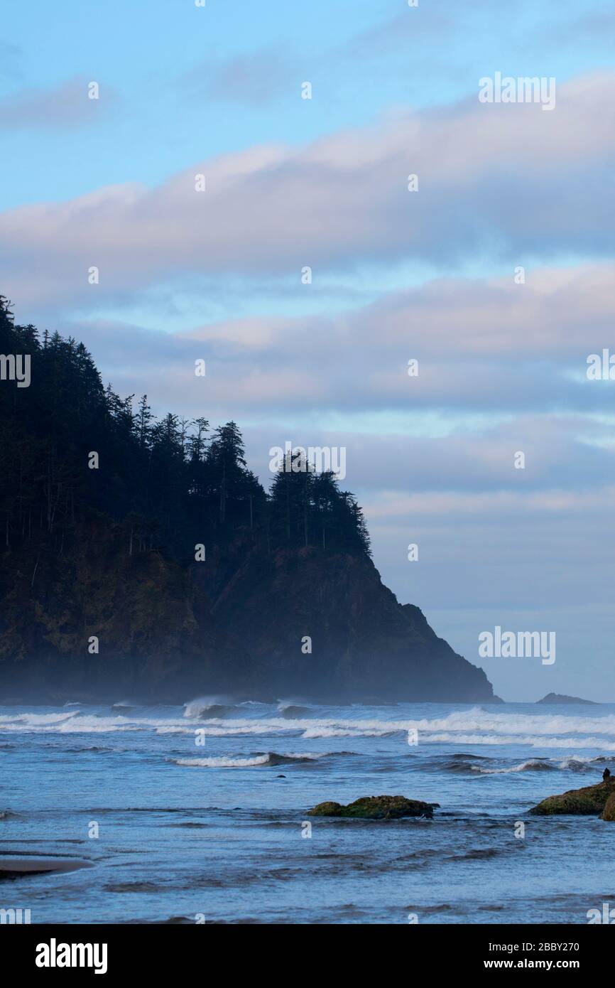 Neskowin Crest dawn, Neskowin State Park, Oregon Stock Photo - Alamy