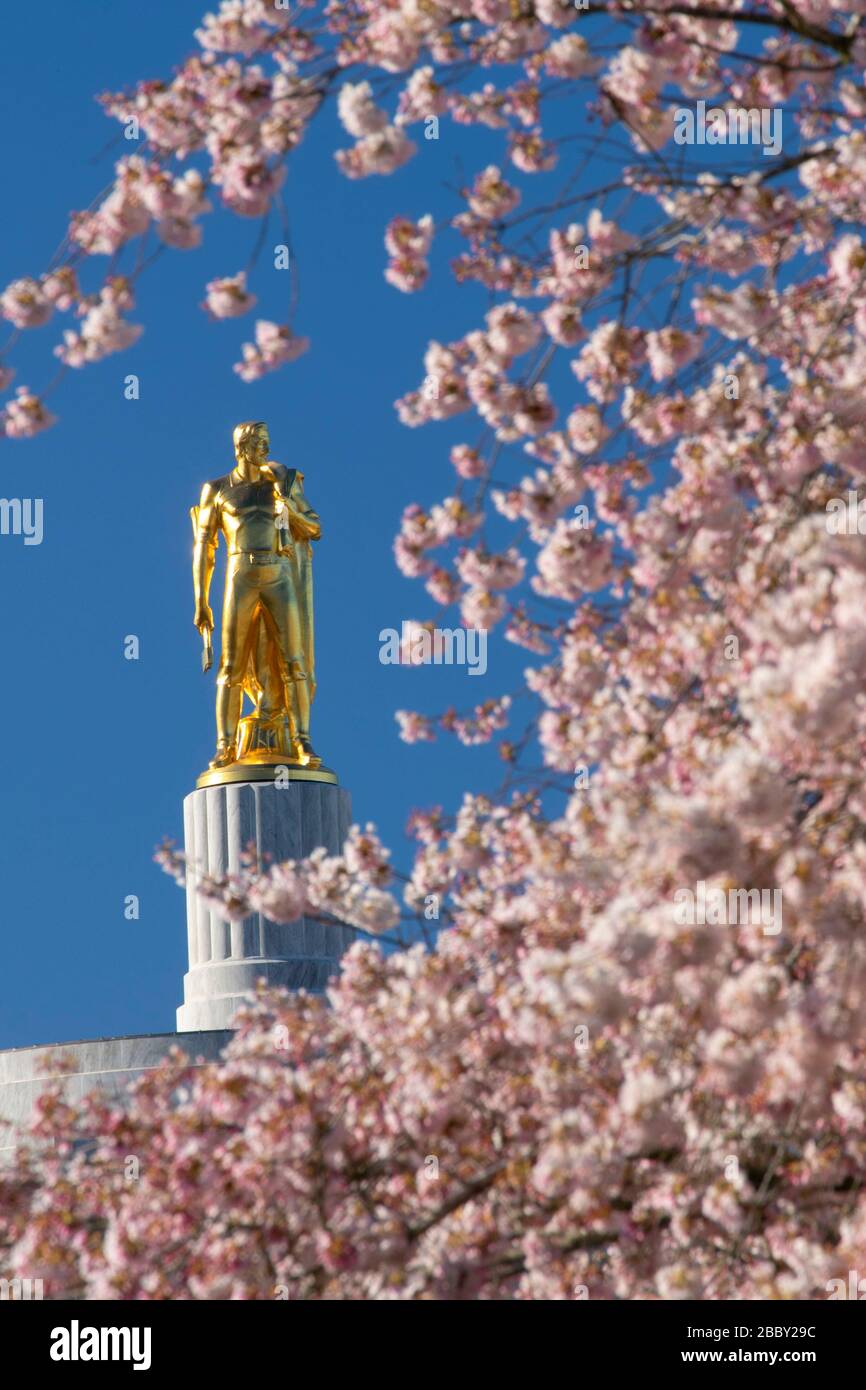 Oregon pioneer statue with cherry blossoms, State Capitol State Park ...