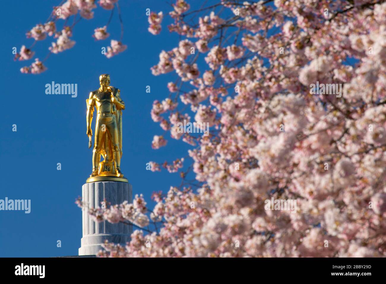 Oregon pioneer statue with cherry blossoms, State Capitol State Park ...