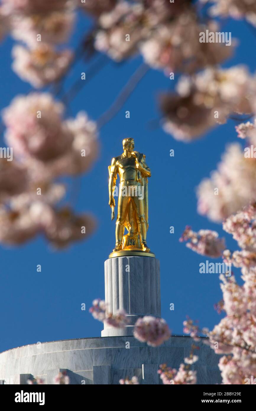Oregon pioneer statue with cherry blossoms, State Capitol State Park ...