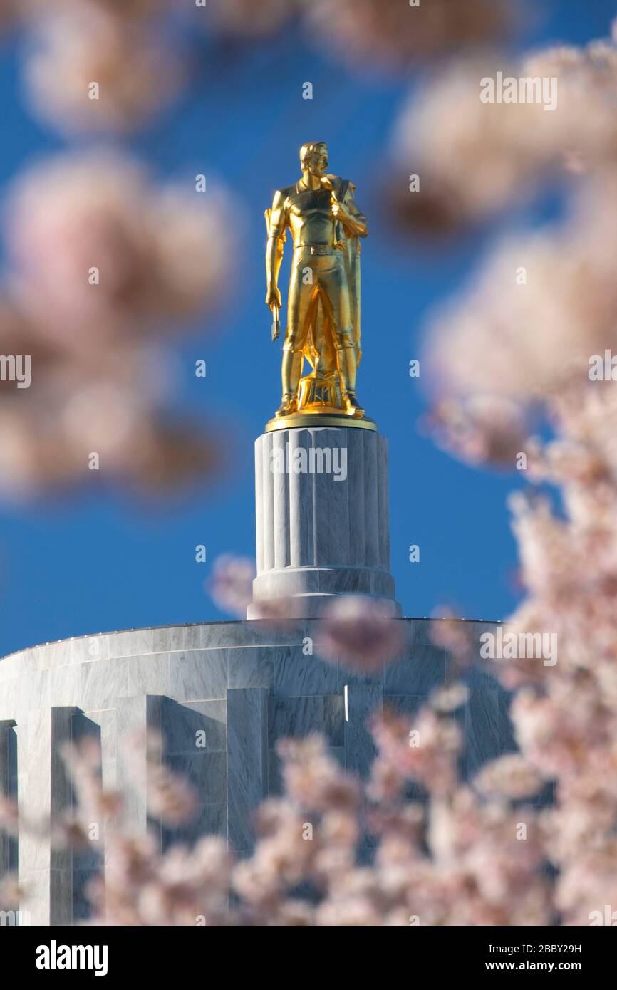 Oregon pioneer statue with cherry blossoms, State Capitol State Park ...