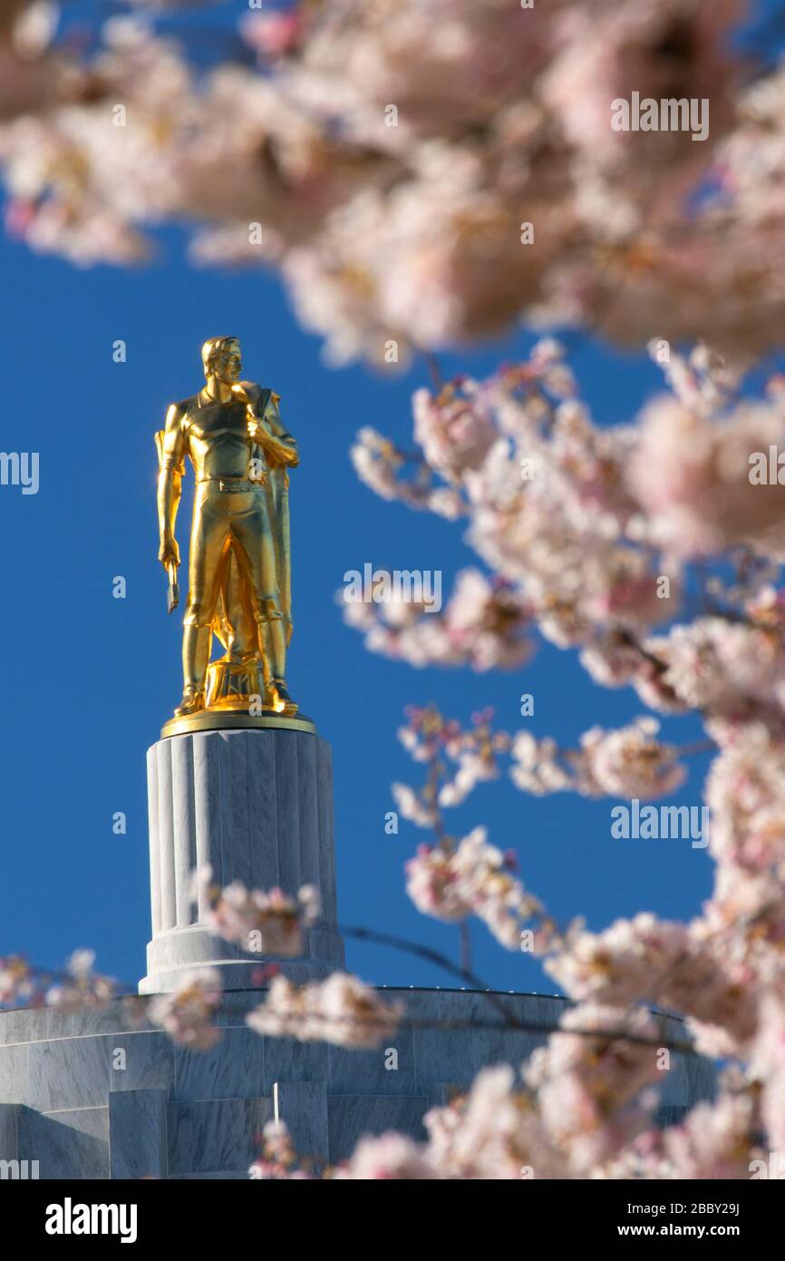 Oregon pioneer statue with cherry blossoms, State Capitol State Park ...