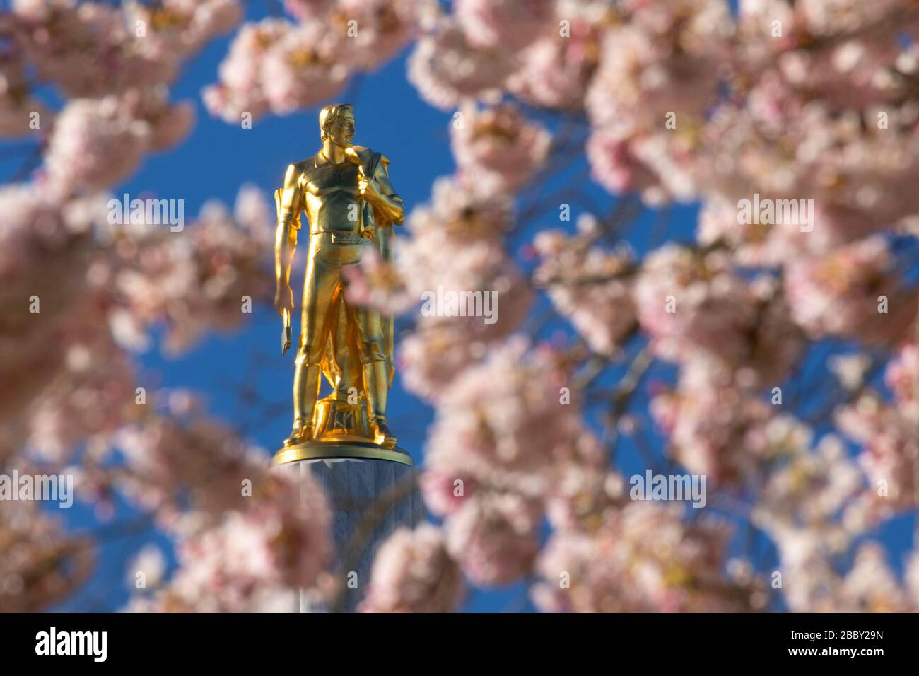 Oregon pioneer statue with cherry blossoms, State Capitol State Park ...
