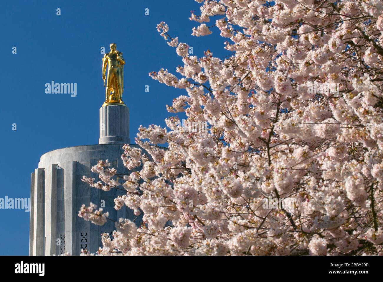 Oregon pioneer statue with cherry blossoms, State Capitol State Park ...