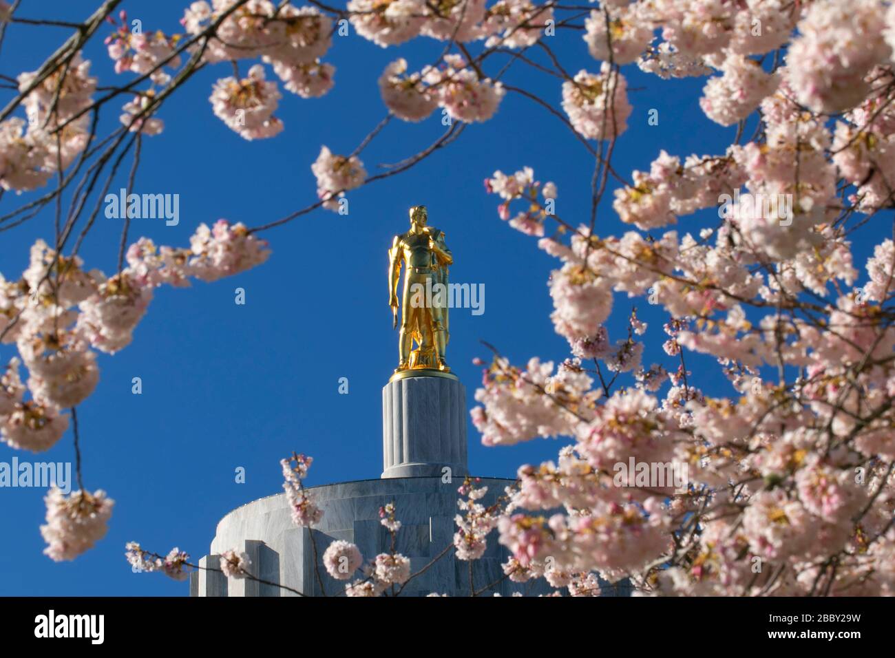 Oregon pioneer statue with cherry blossoms, State Capitol State Park ...