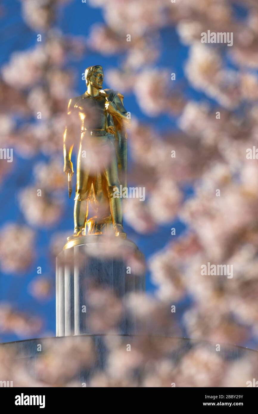 Oregon pioneer statue with cherry blossoms, State Capitol State Park ...