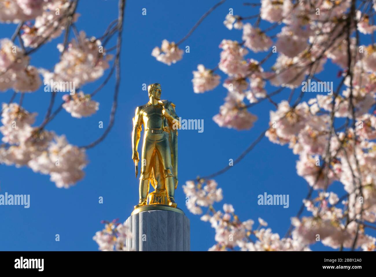 Oregon pioneer statue with cherry blossoms, State Capitol State Park ...