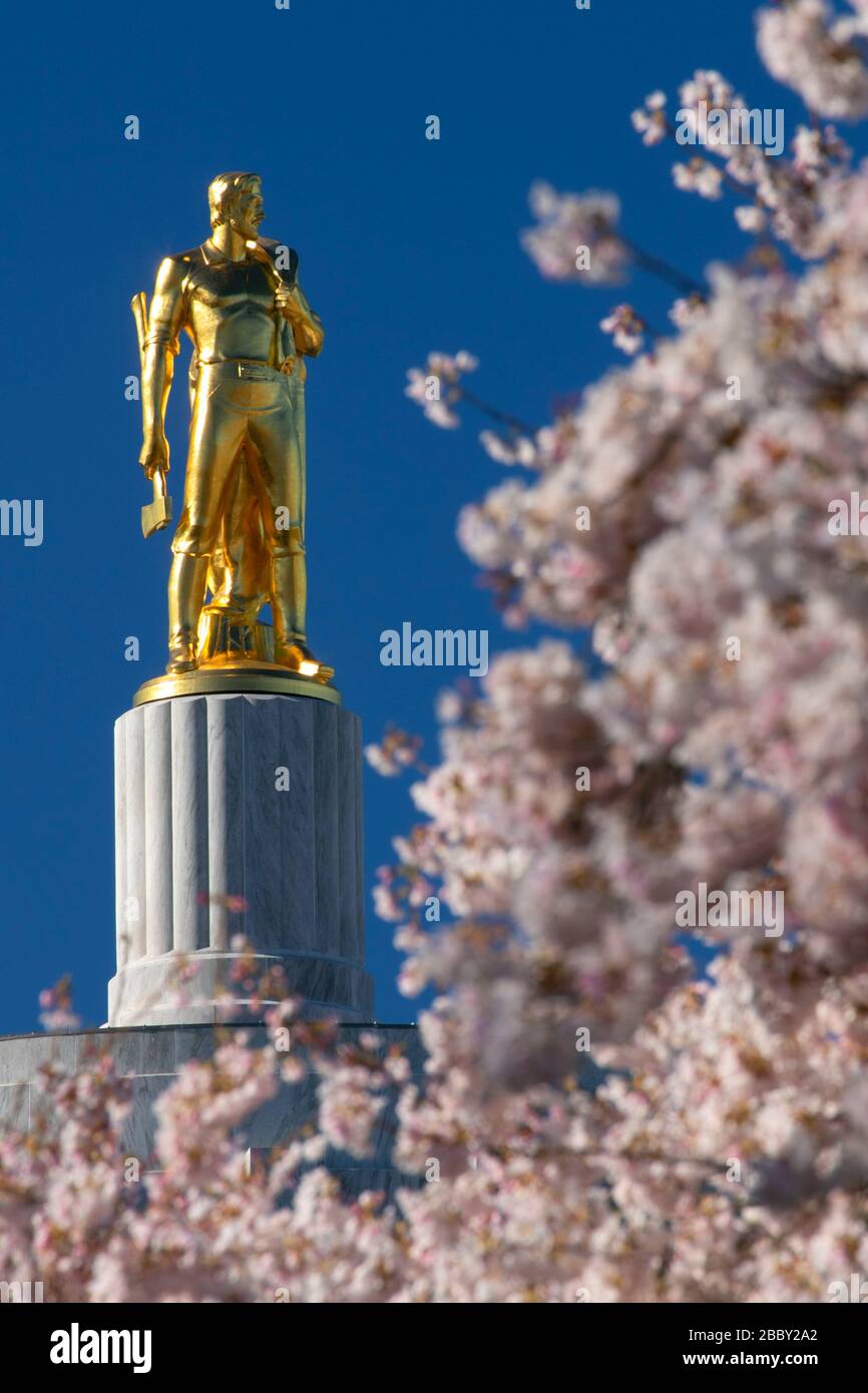 Oregon pioneer statue with cherry blossoms, State Capitol State Park ...