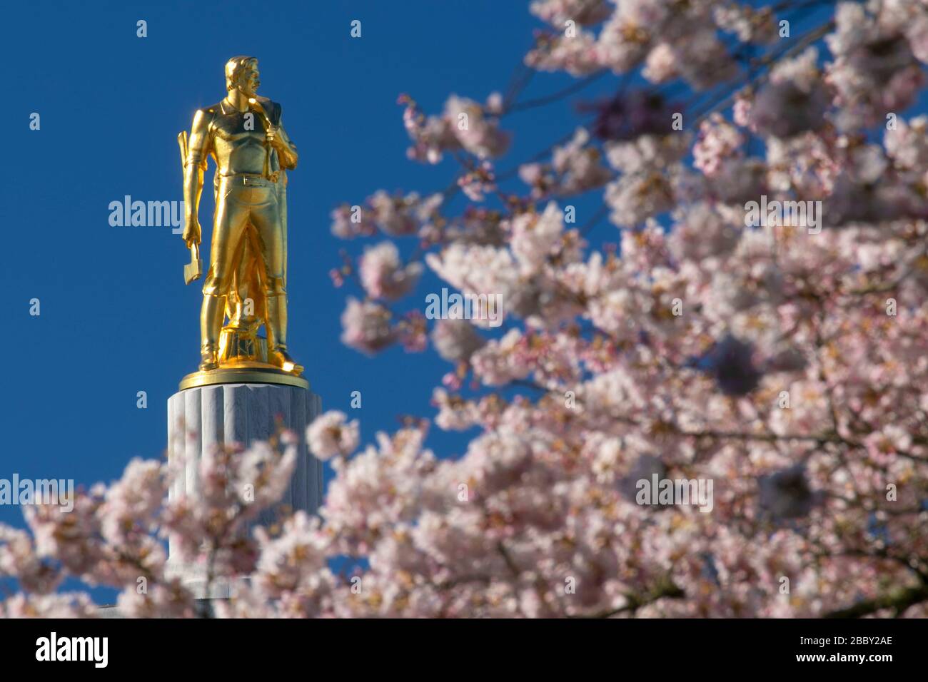 Oregon pioneer statue with cherry blossoms, State Capitol State Park ...