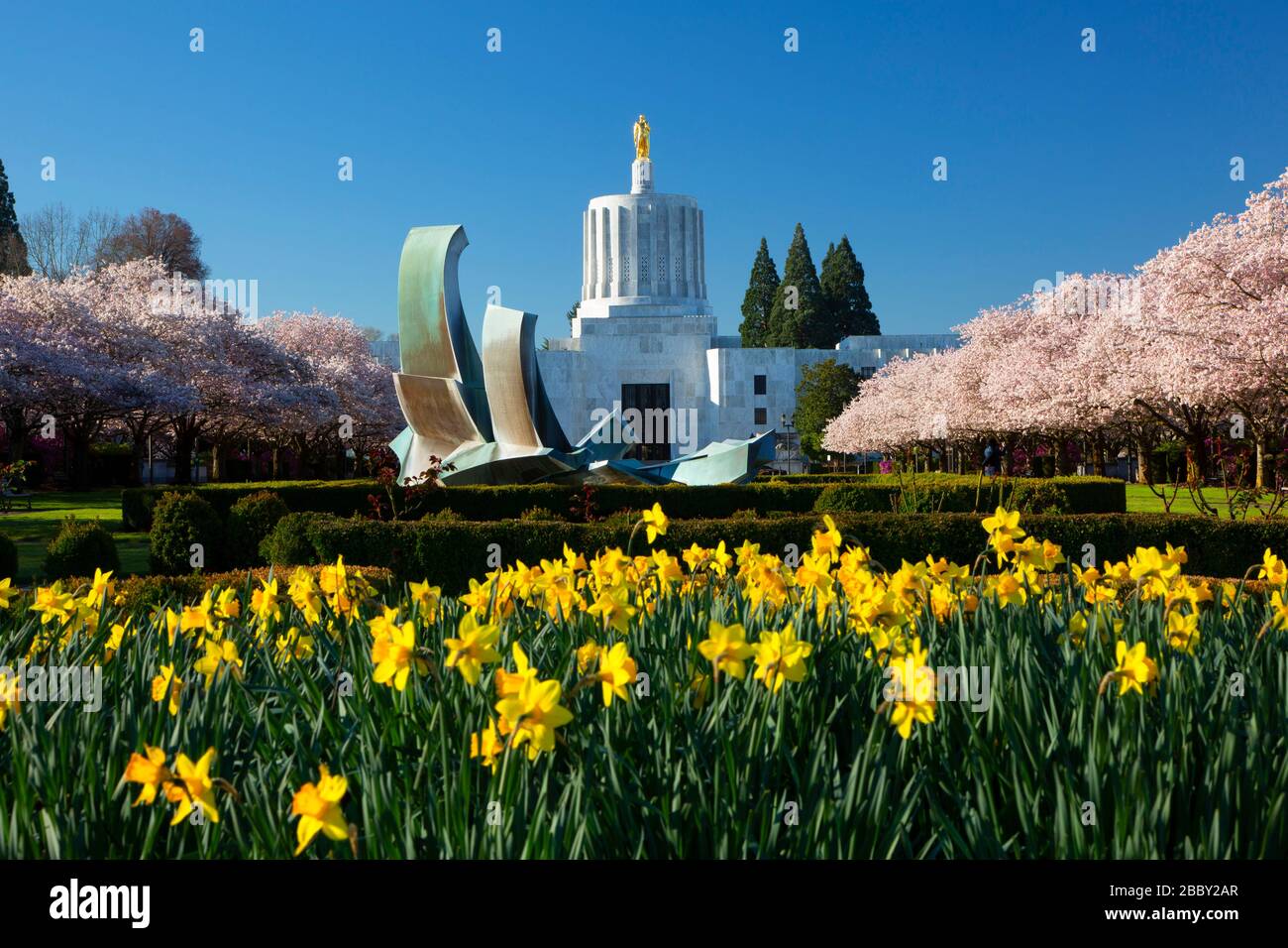 State Capitol with cherry blossoms, State Capitol State Park, Oregon ...