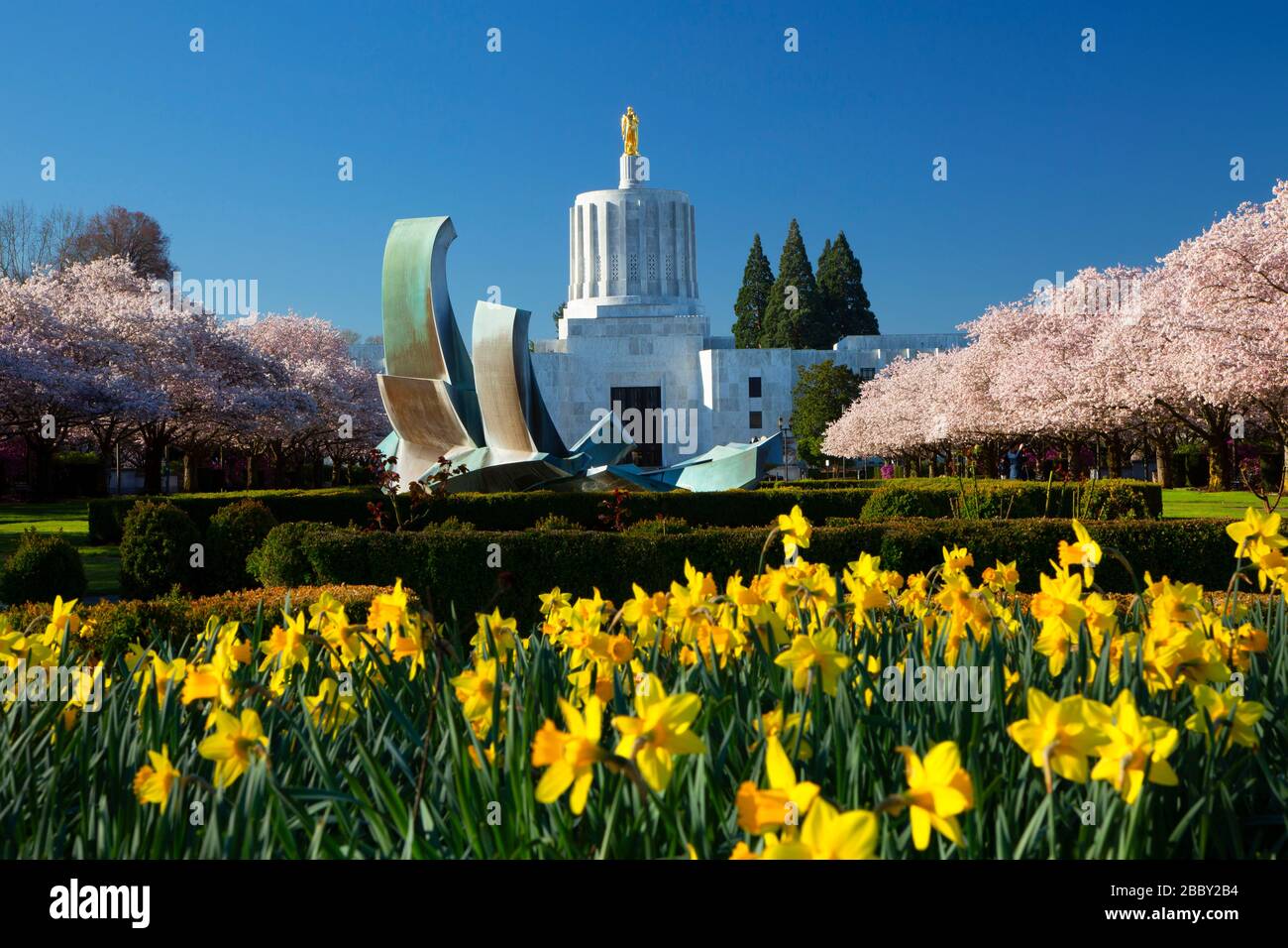 State Capitol with cherry blossoms, State Capitol State Park, Salem ...