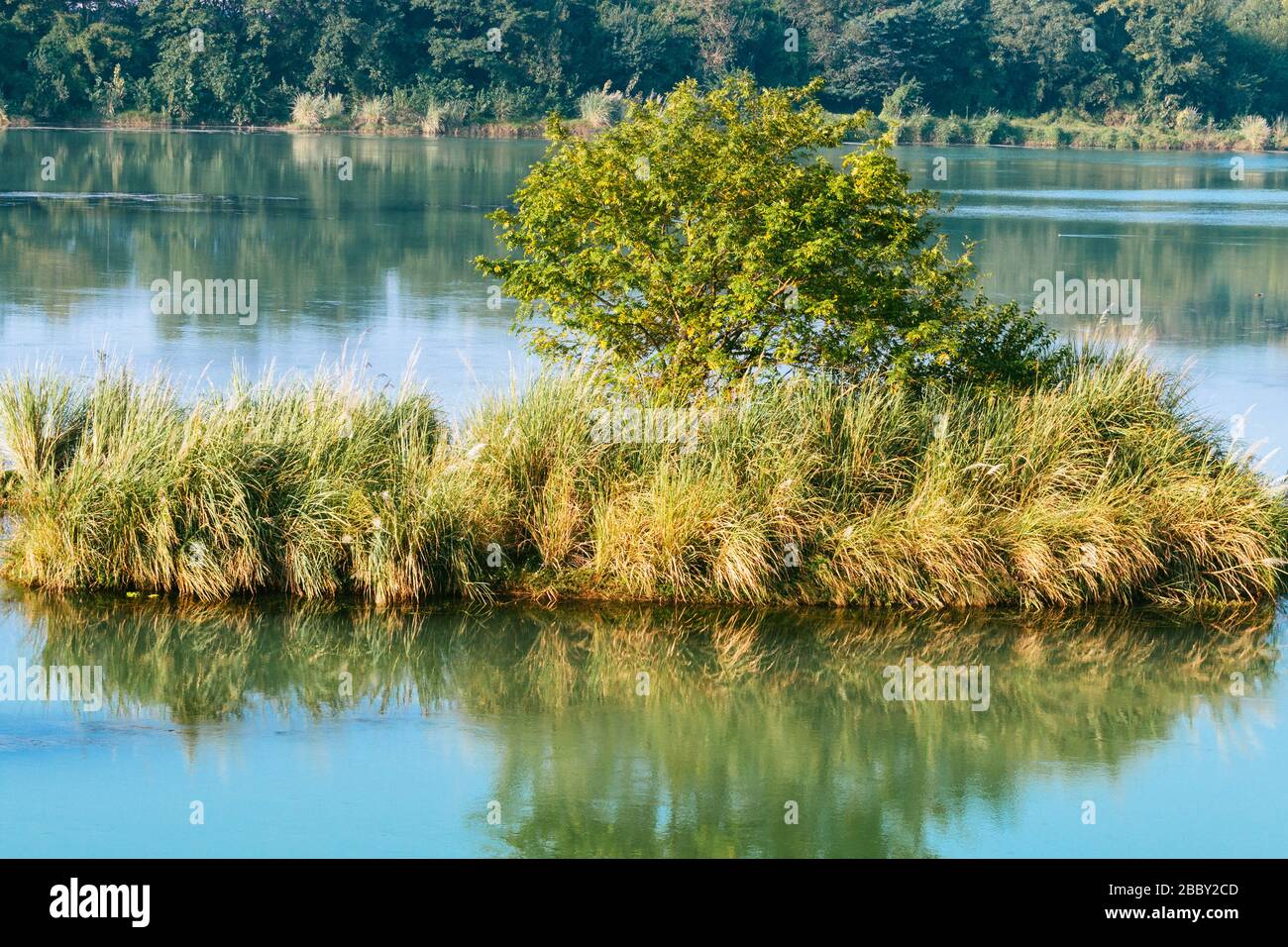 Island in the river Stock Photo - Alamy