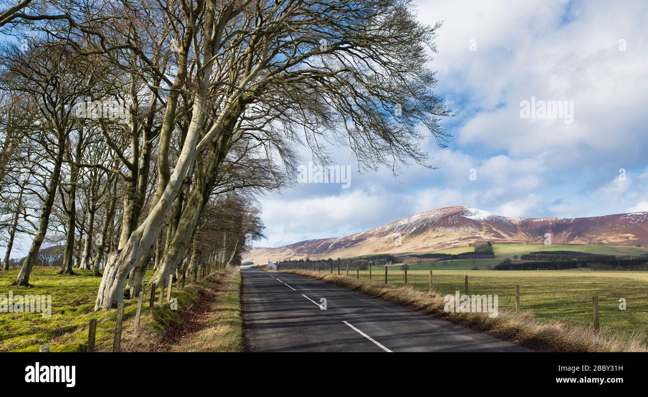 The landscape of the scottish borders hi-res stock photography and ...