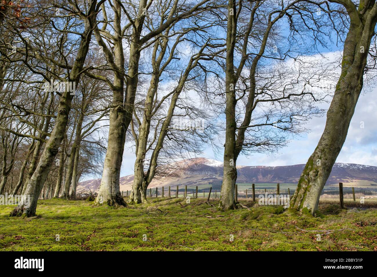 The landscape of the scottish borders hi-res stock photography and ...