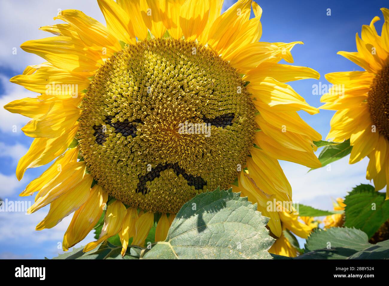 Faces Happy And Sad High Resolution Stock Photography and Images - Alamy