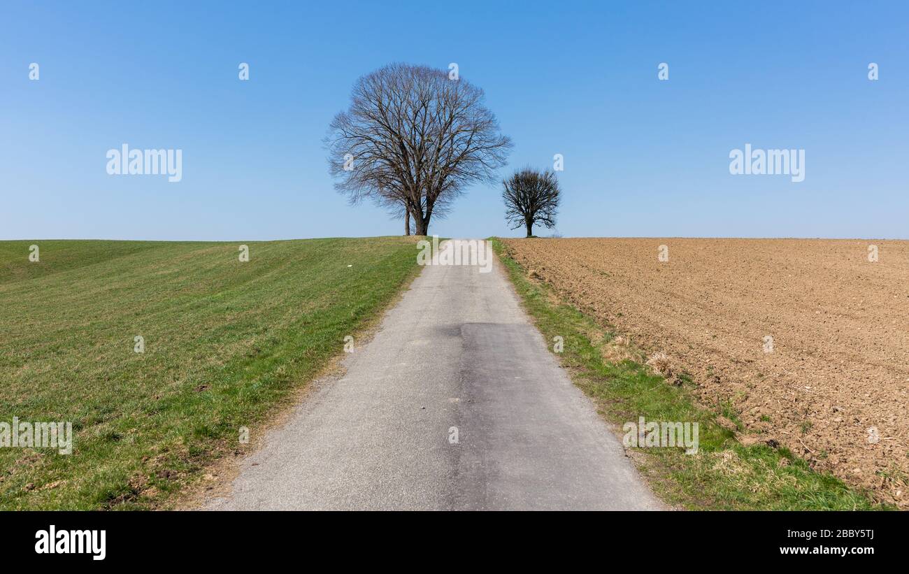 Walkway between trees hi-res stock photography and images - Alamy