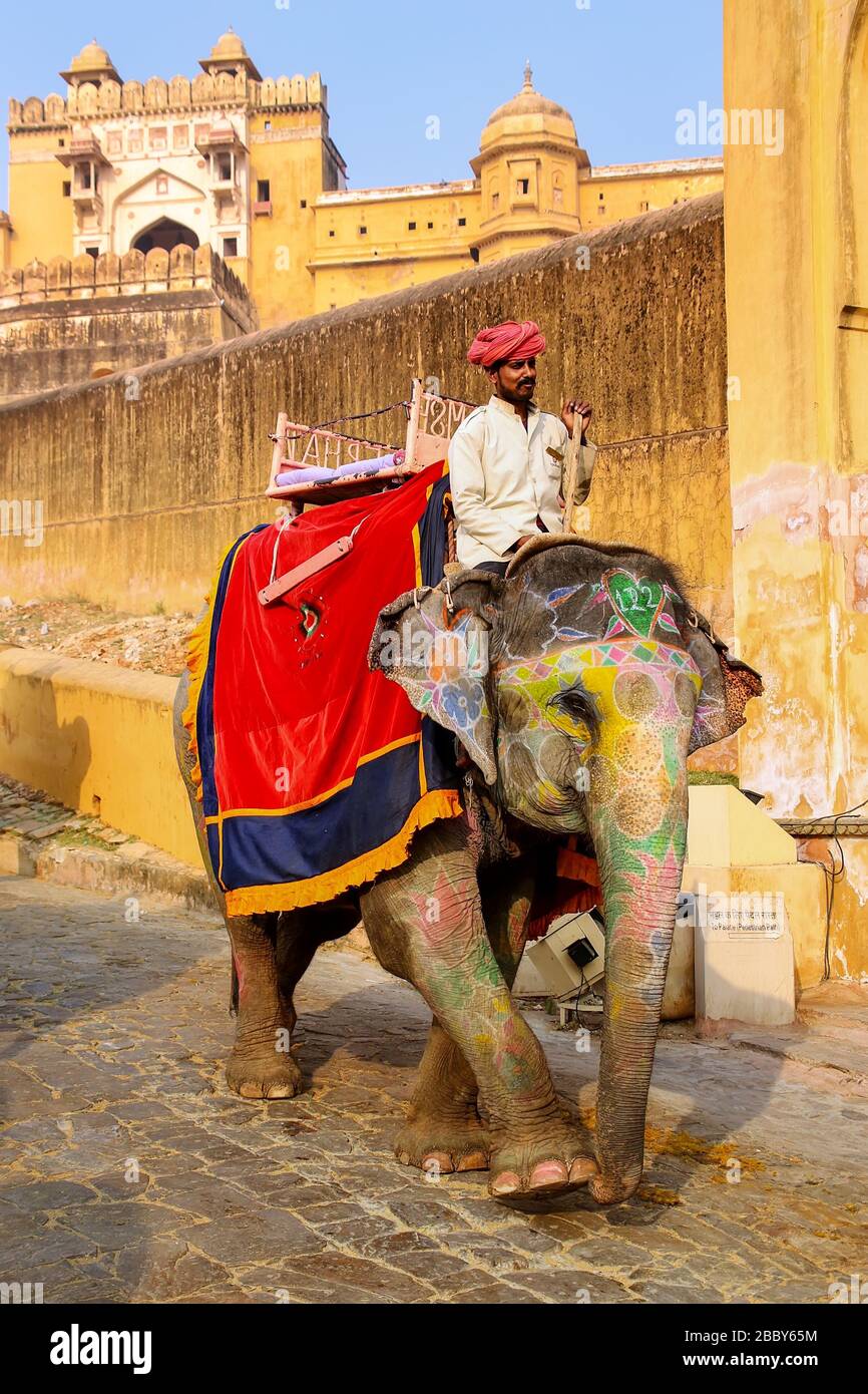 Decorated elephant going on the cobblestone path from Amber Fort near ...