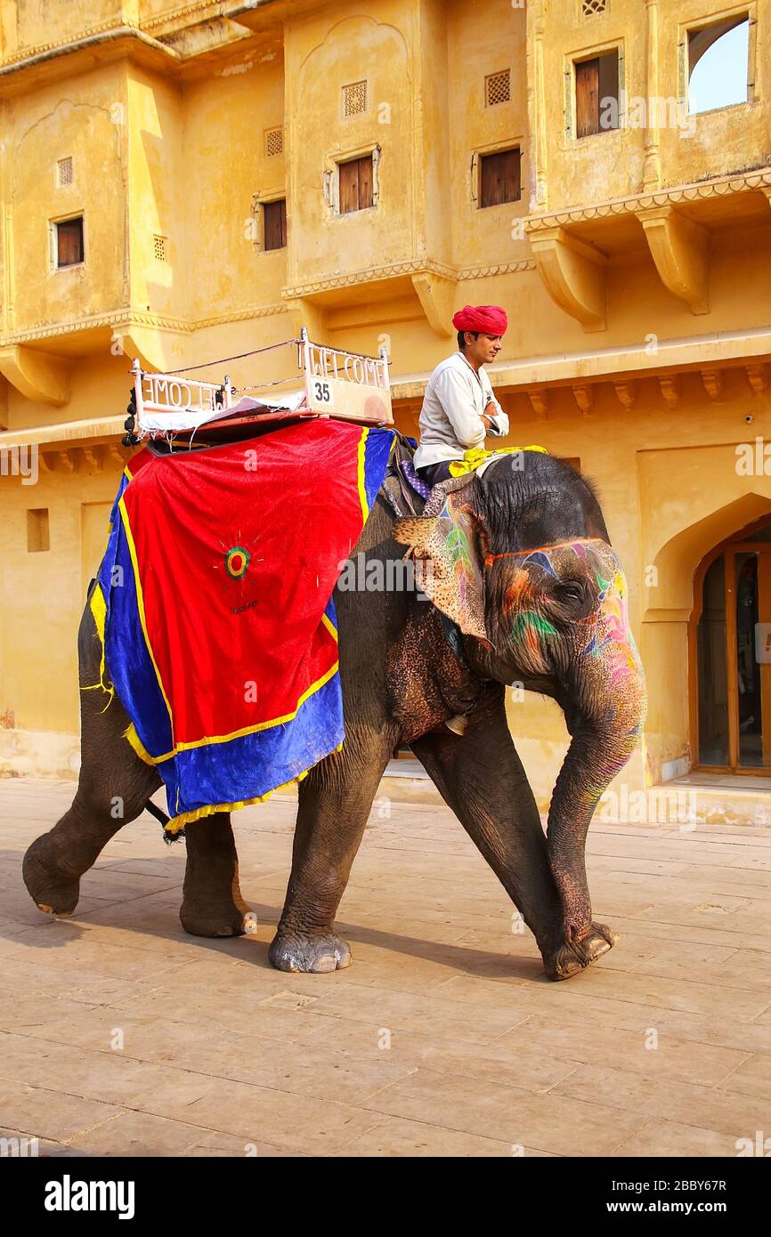 Decorated elephant walking in Jaleb Chowk (main courtyard) in Amber ...