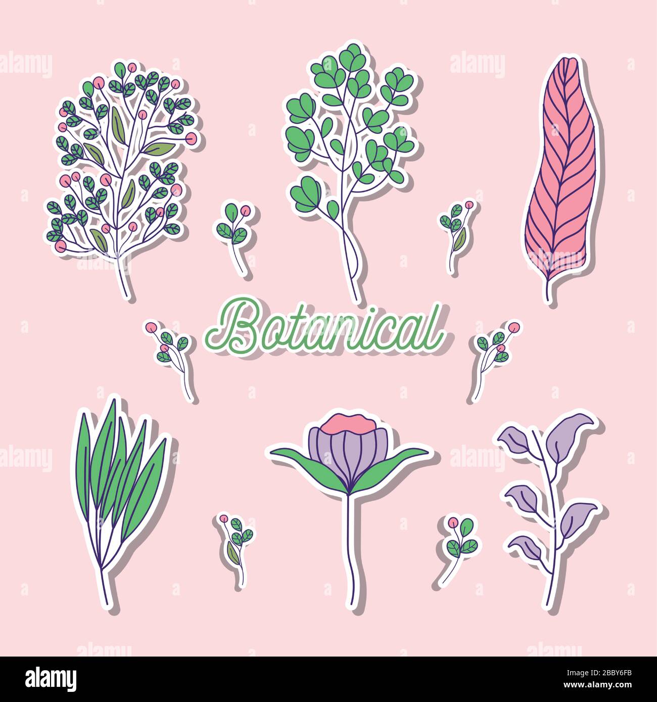 Botanical leaves set design of Floral nature plant garden ornament ...