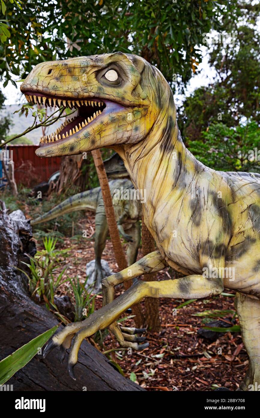 Zoos / A T-Rex display in Halls Gap Zoo,Victoria Australia.Halls Gap ...