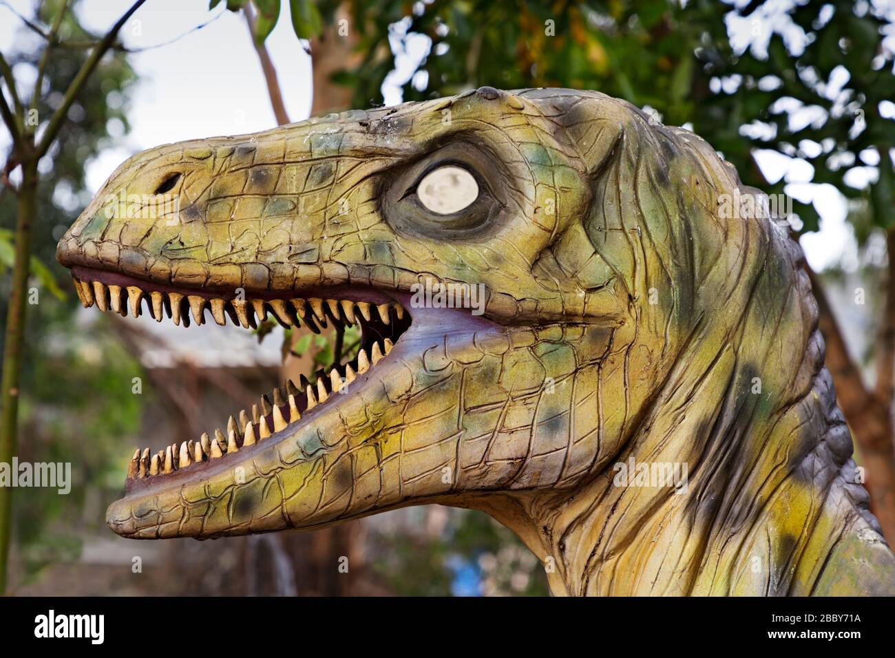 Zoos / A T-Rex display in Halls Gap Zoo,Victoria Australia.Halls Gap ...