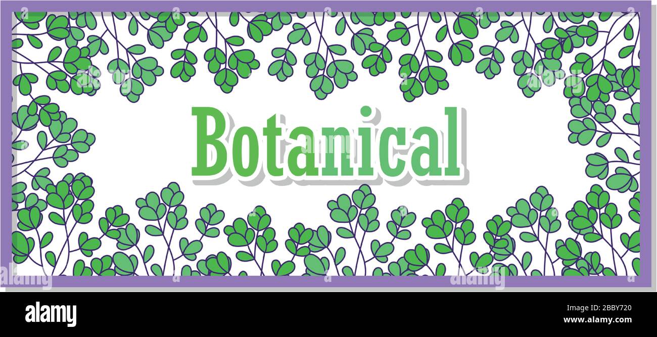 Botanical leaves frame design of Floral nature plant garden ornament ...