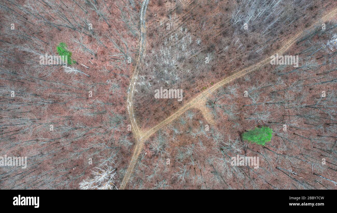 Urban green space aerial map hi-res stock photography and images - Alamy