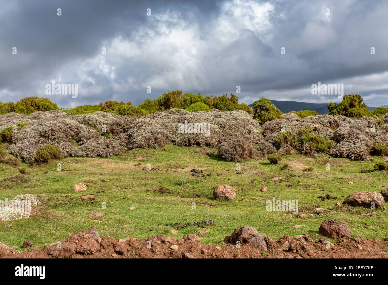 beautiful landscape, Ethiopian Bale Mountains National Park. Ethiopia ...