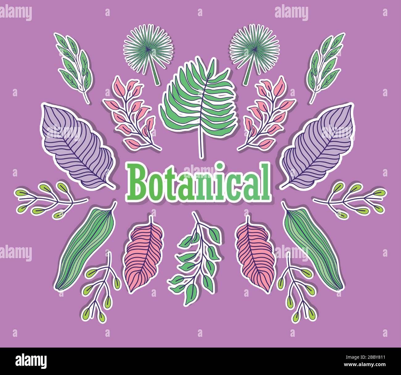 Botanical leaves set design of Floral nature plant garden ornament ...