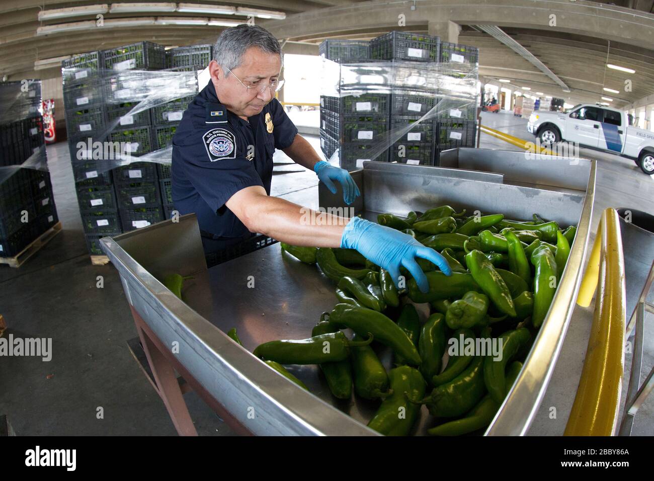 U s customs border protection agriculture hi-res stock photography and ...