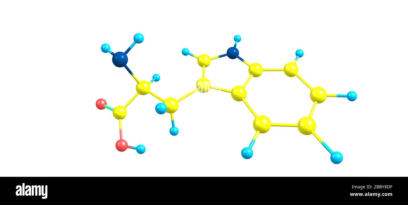 Tryptophan or Trp is an amino acid that is used in the biosynthesis of ...