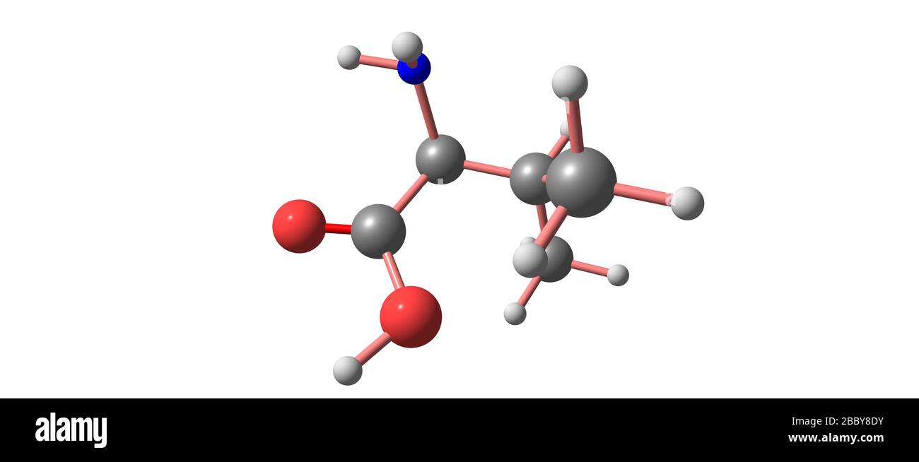 Valine or Val an amino acid that is used in the biosynthesis of ...