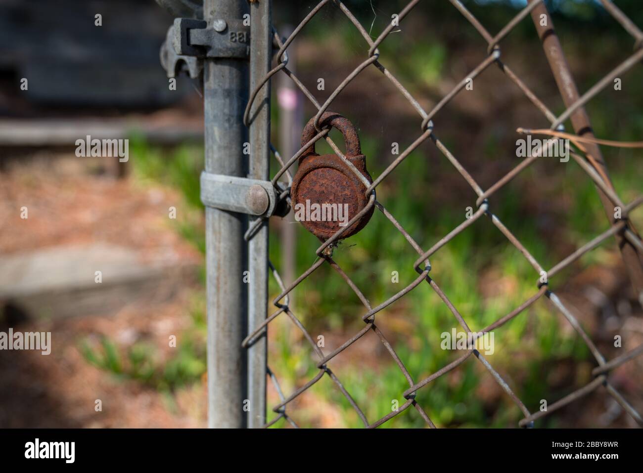 Chain link fence with rusted padlock opening in nature area Stock Photo ...