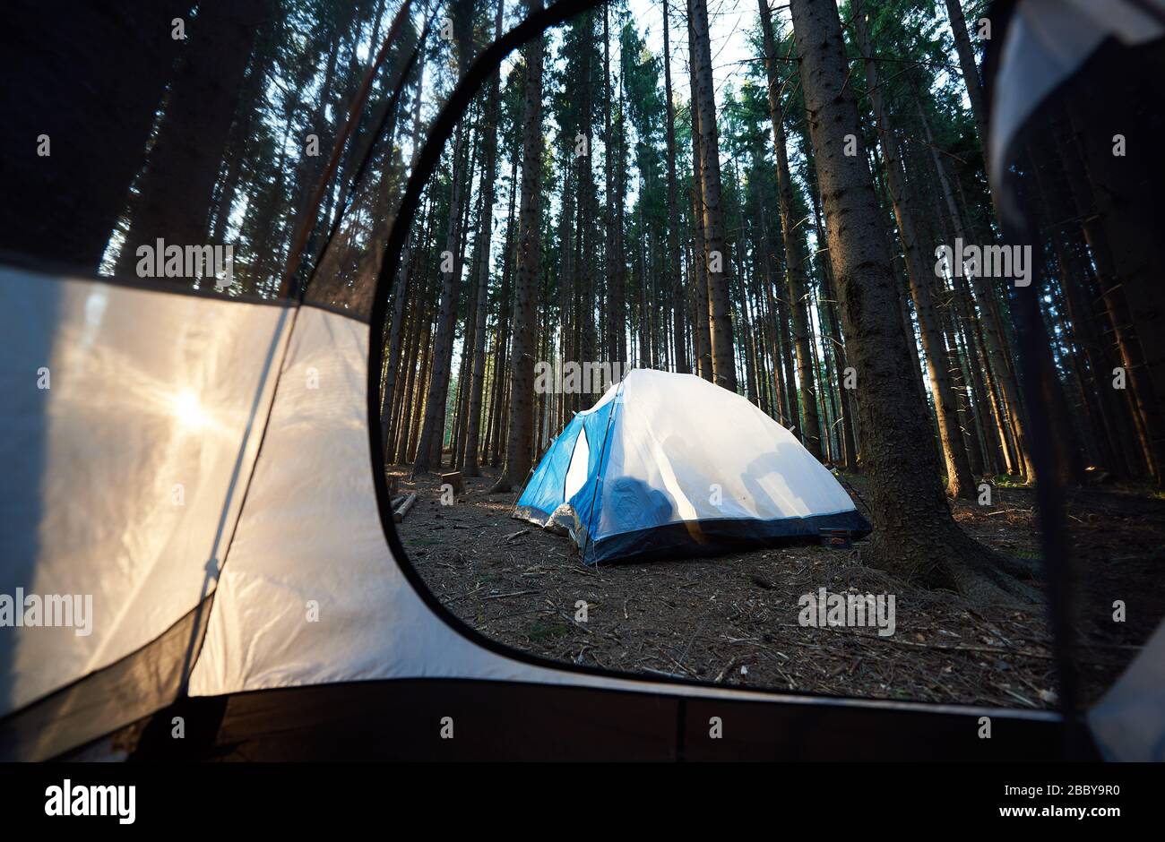 Summer camping in the morning. View from tent inside of camp in the ...