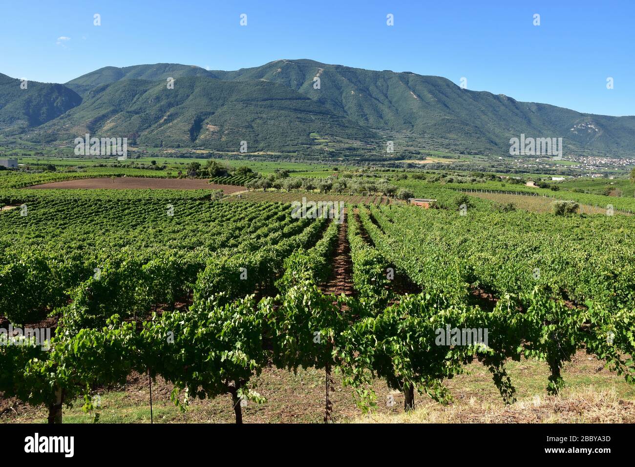 Benevento italy hi-res stock photography and images - Alamy