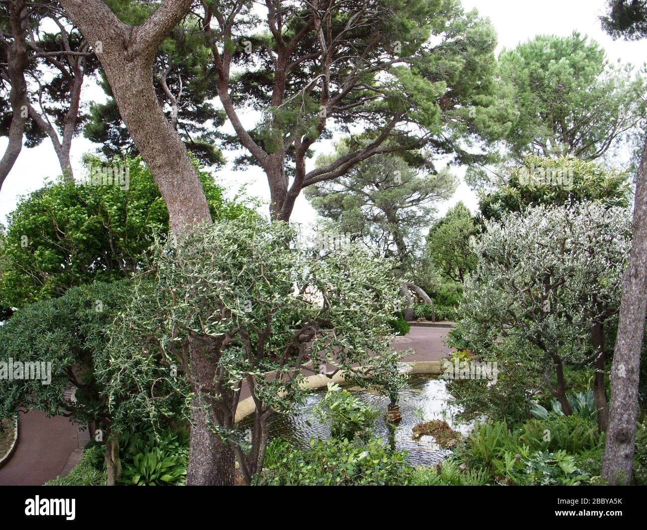 Park in Monaco, Monte-Carlo. Nature Stock Photo - Alamy