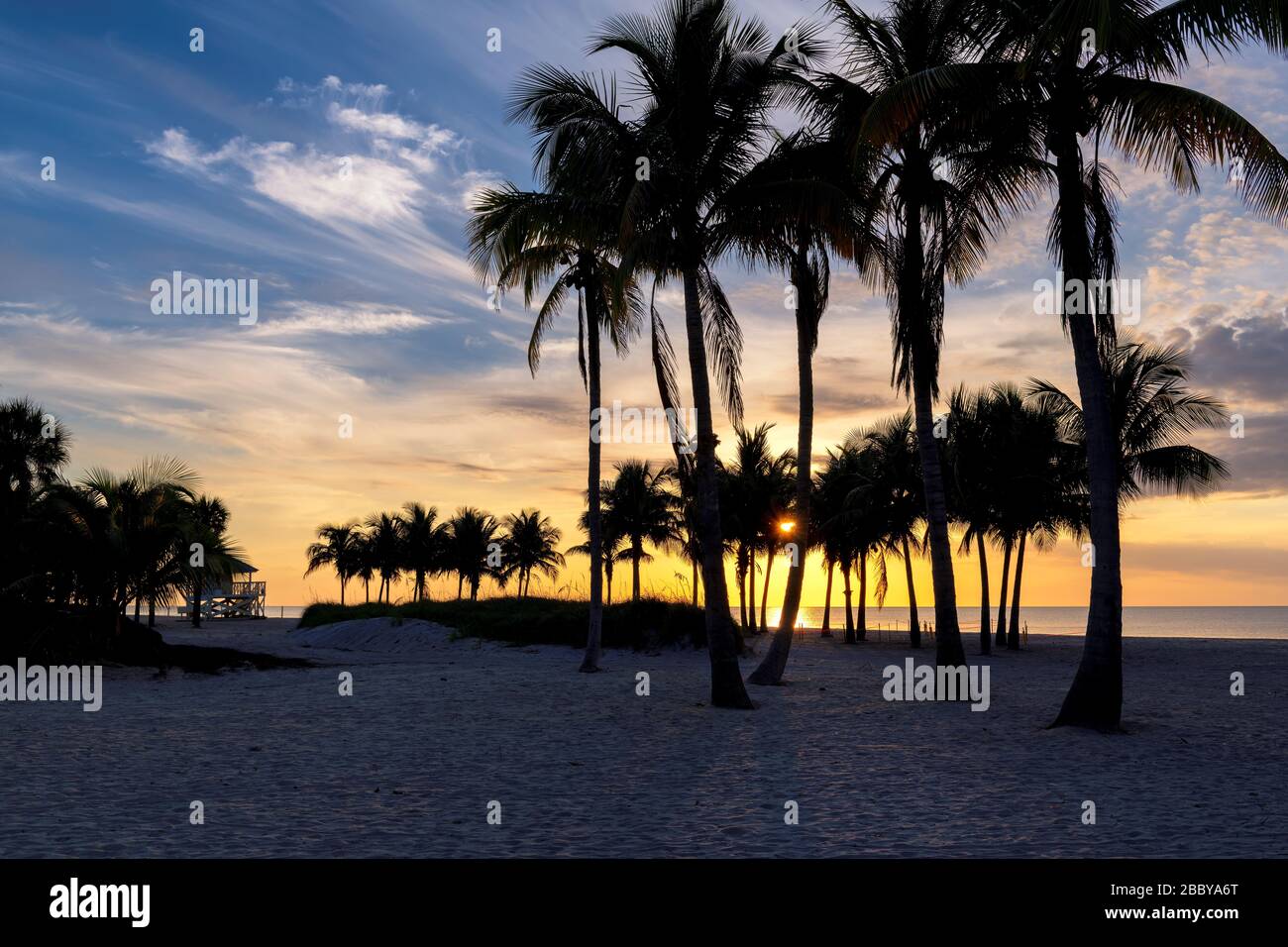 Palm trees at sunrise in Miami Beach, Florida Stock Photo - Alamy