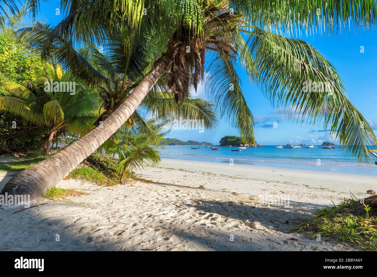 Exotic tropical beach Stock Photo - Alamy