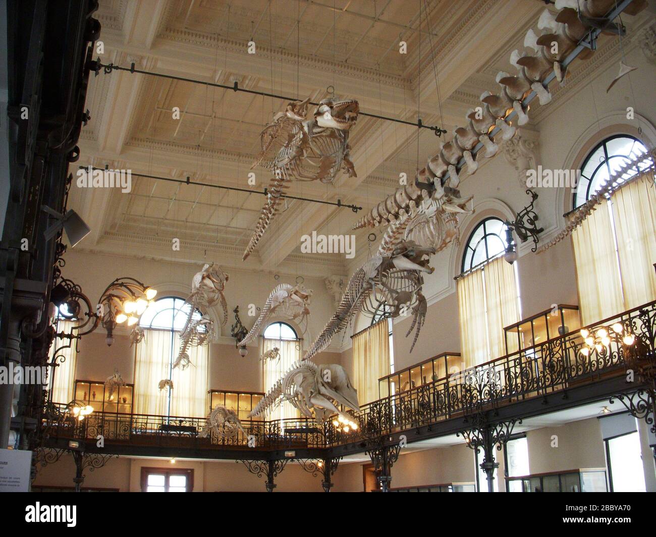 Oceanographic Museum of Monaco. A view of the interior of the museum ...