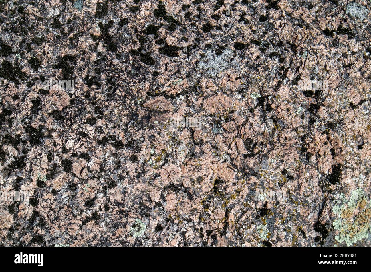 rapakivi granite surface, Finland Stock Photo - Alamy