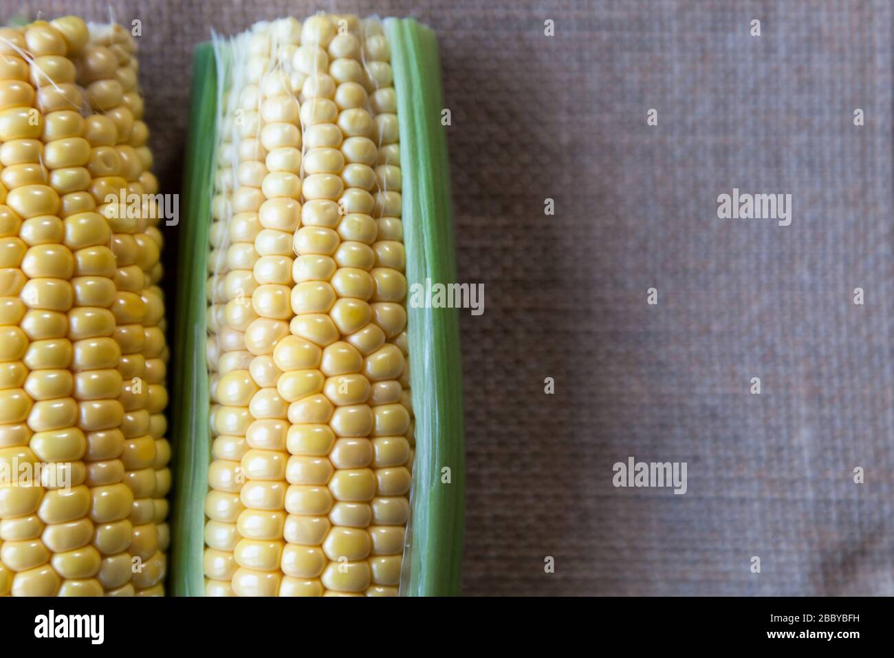 Fresh corn fruits with green leaves isolated .,An ear of corn isolated ...