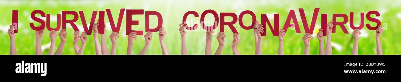 People Hands Holding Word I Survived Coronaviru, Grass Meadow Stock ...