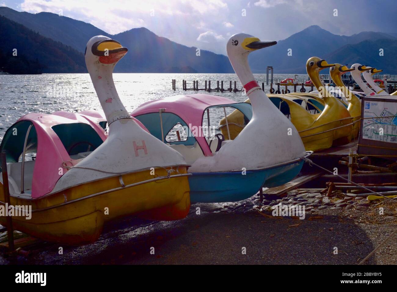 Swan water bike boat hi-res stock photography and images - Alamy