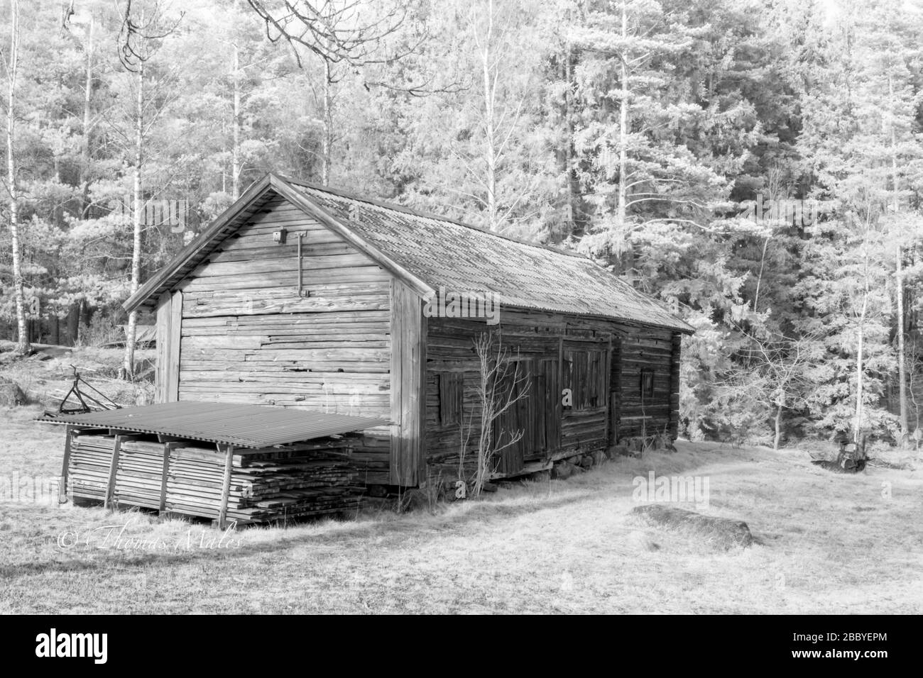 Old Wooden House In The Forest Stock Photo Alamy old-wooden-house-in-the-forest-stock-photo-alamy