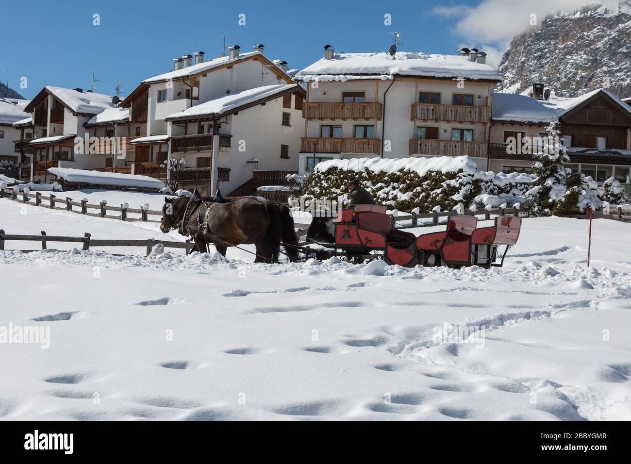 Horse Ski Carriage High Resolution Stock Photography and Images - Alamy