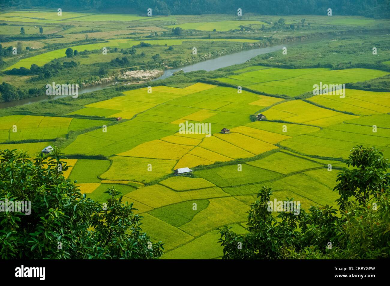paddy fields in khasi and jaintia Hills of Meghalaya india Stock Photo ...