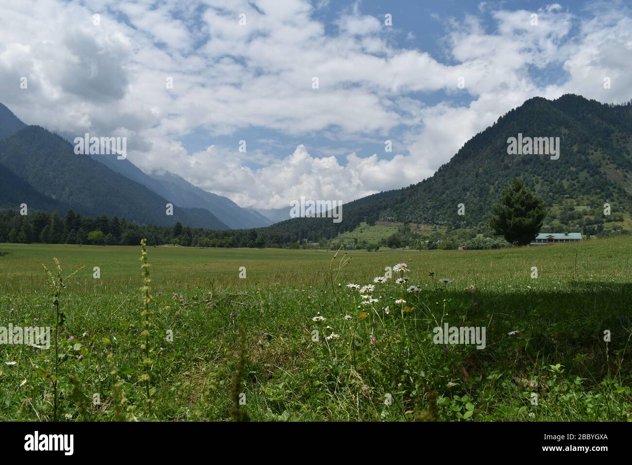 Beautiful Golf Course with Natural scenery at Pahalgam Kashmir,India ...