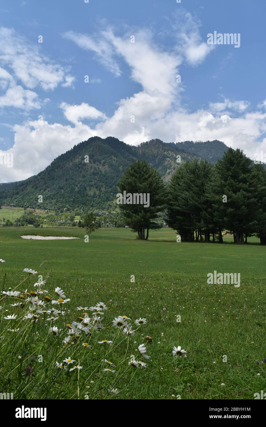 Pahalgam golf hi-res stock photography and images - Alamy