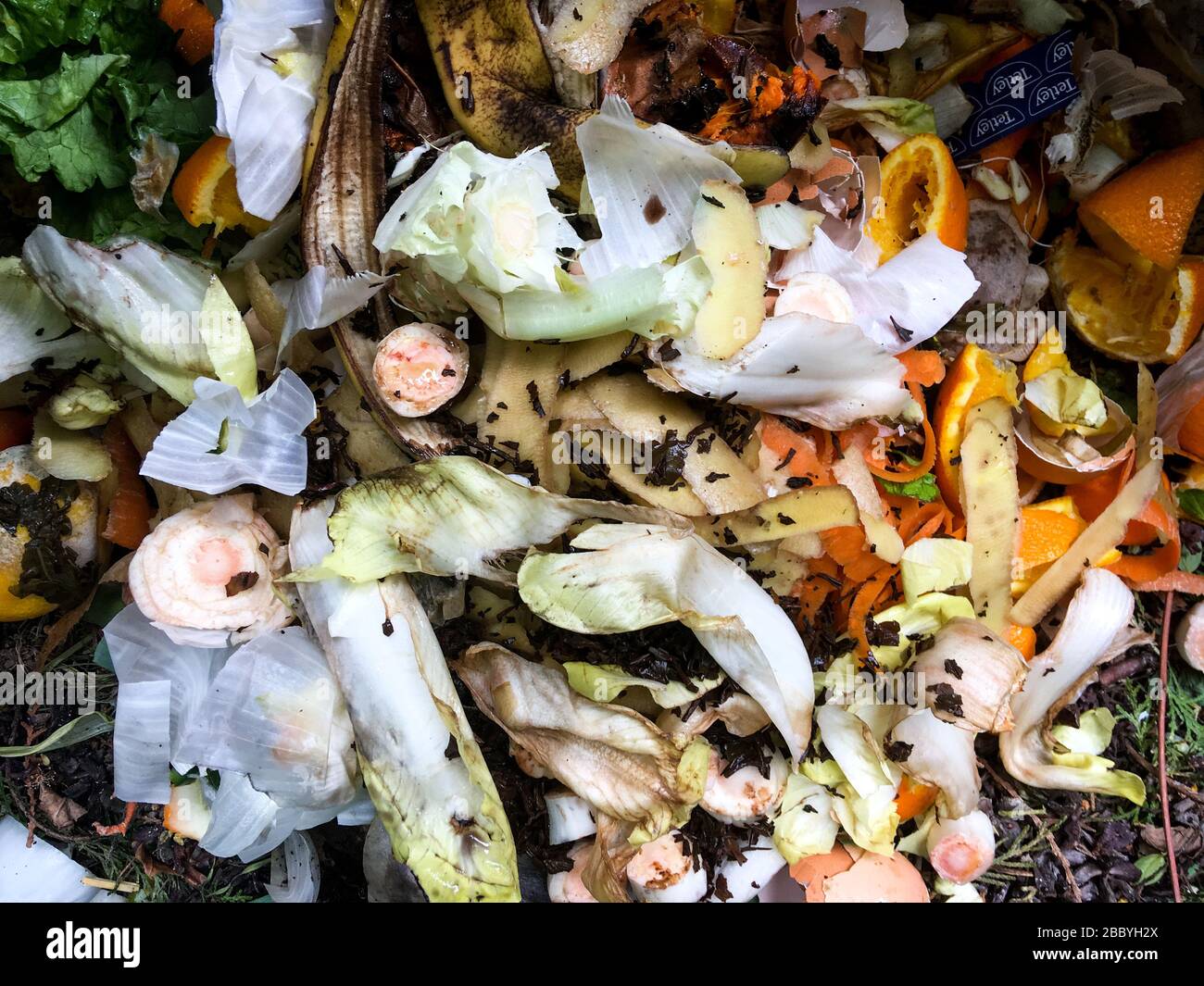 Fruits and vegetables decaying in a compost container, Lyon, France ...