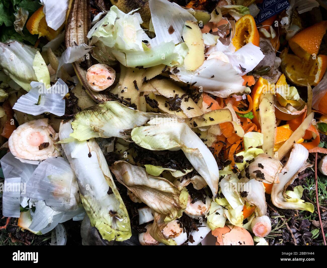 Fruits and vegetables decaying in a compost container, Lyon, France ...